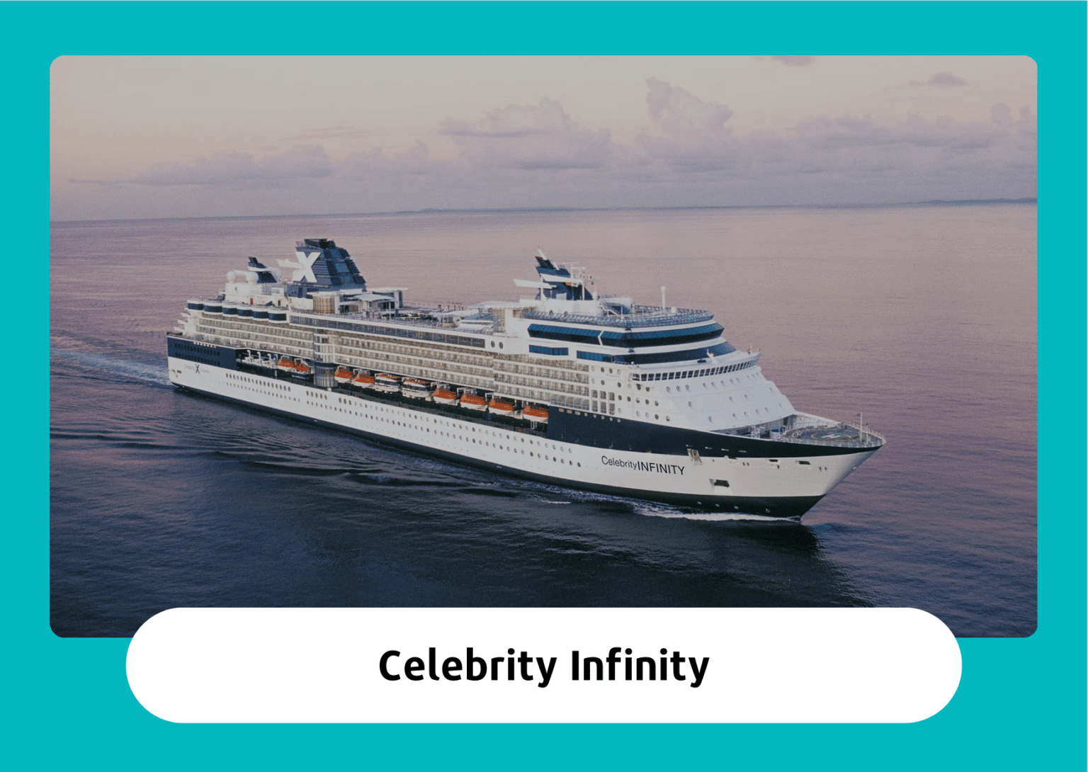 CELEBRITY INFINITY